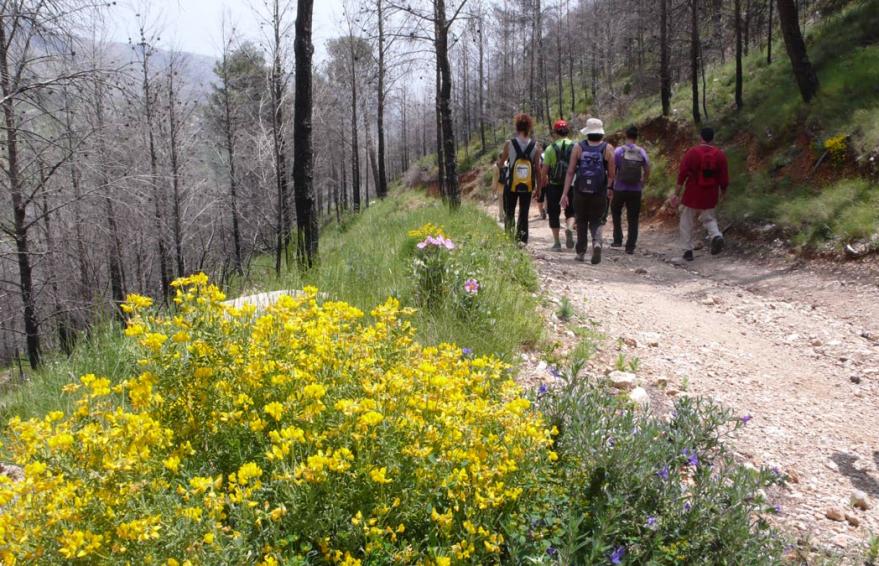 Sports and Activities in Benidorm, Spain | Servigroup