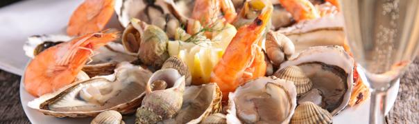 Playas de Peñíscola | Hoteles Servigroup