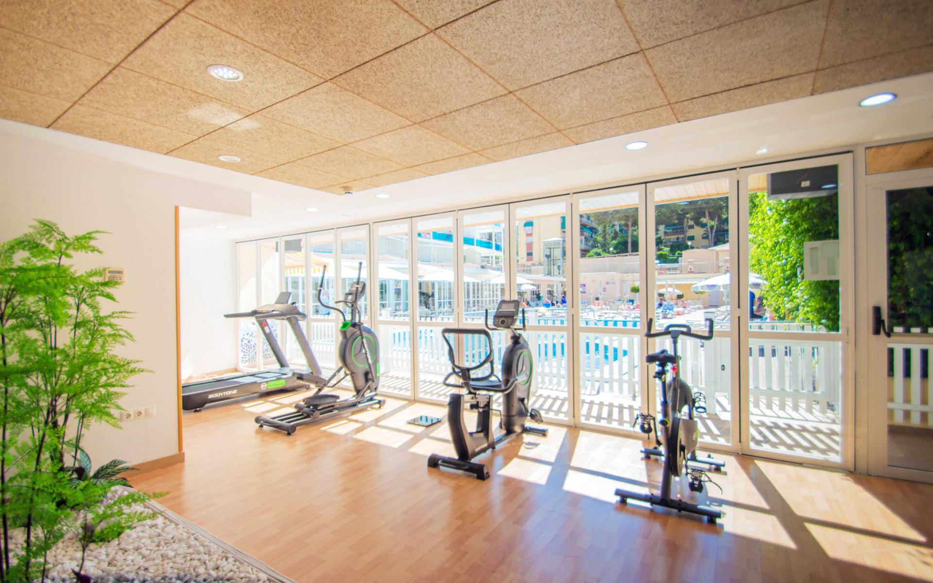 Galería multimedia (fotos y vídeos) | Hotel Servigroup Nereo